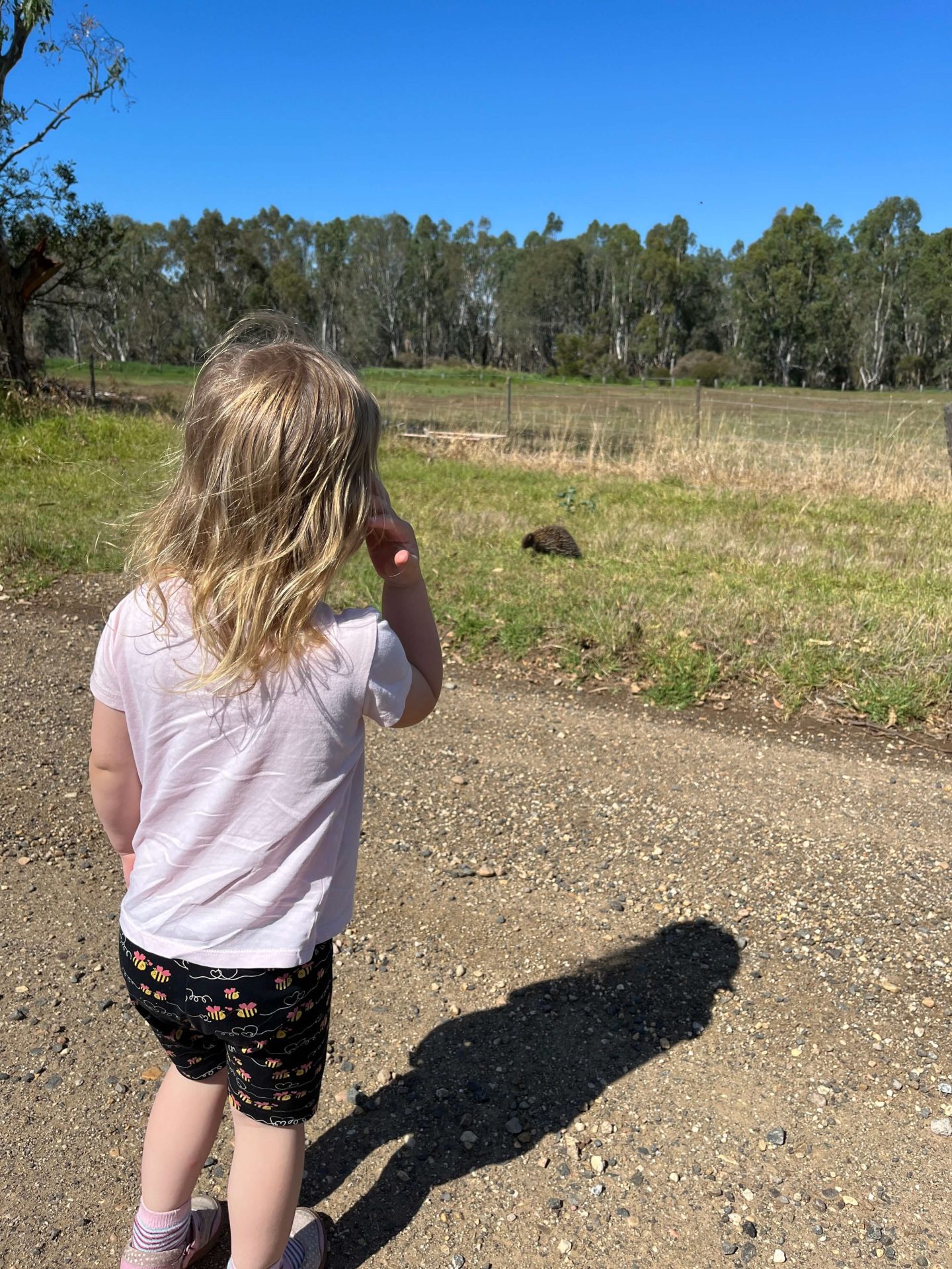 Living Away from Family [With A Baby] Parent Advice